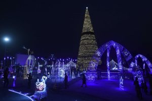 Peace Mass Transit Online Booking: Prices, Routes Prices, Contacts ...